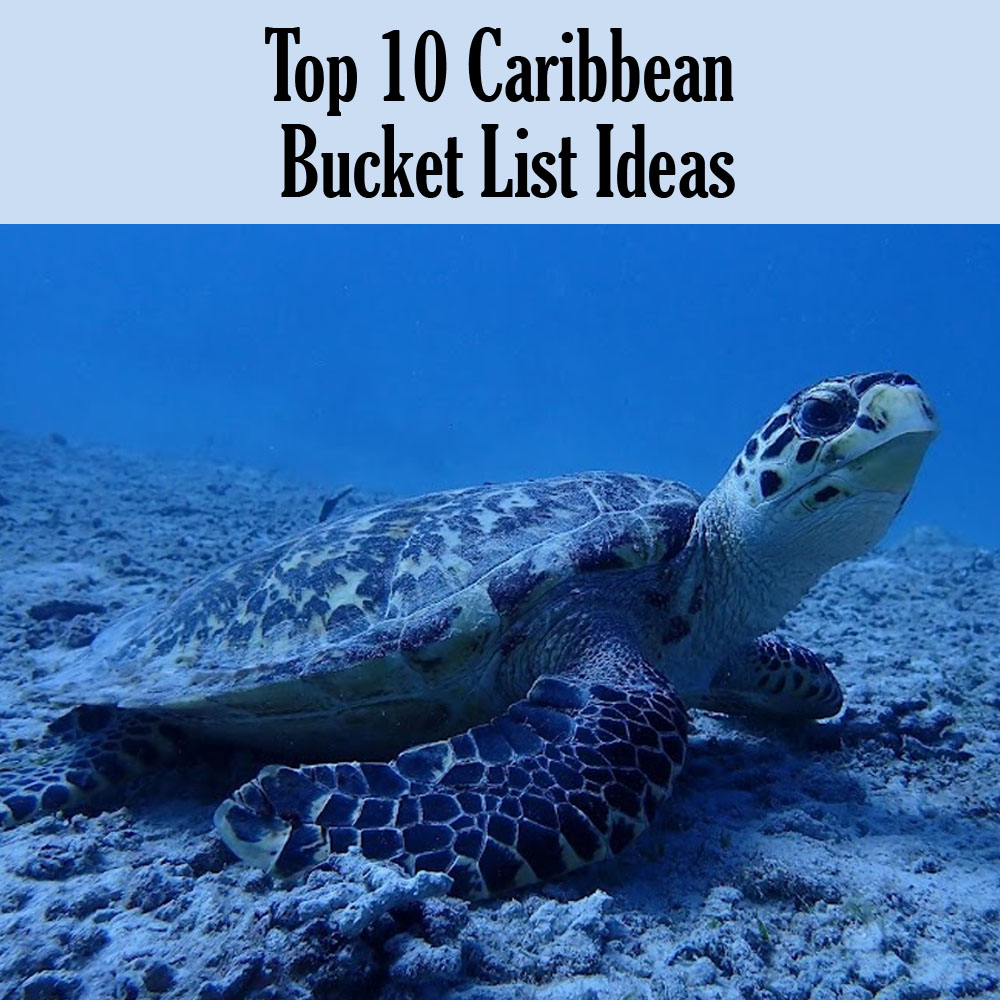 Top 10 Caribbean Bucket List Ideas - Forever Traveling